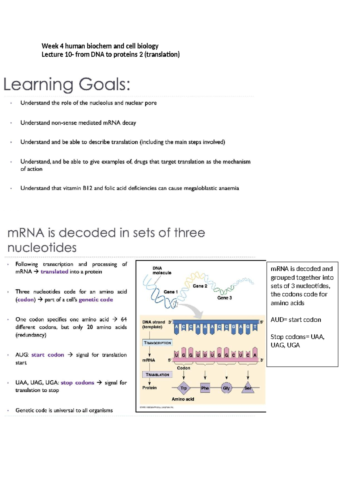 Week 4 Biochemistry & Cell Biology Lecture Notes: From DNA to Proteins ...
