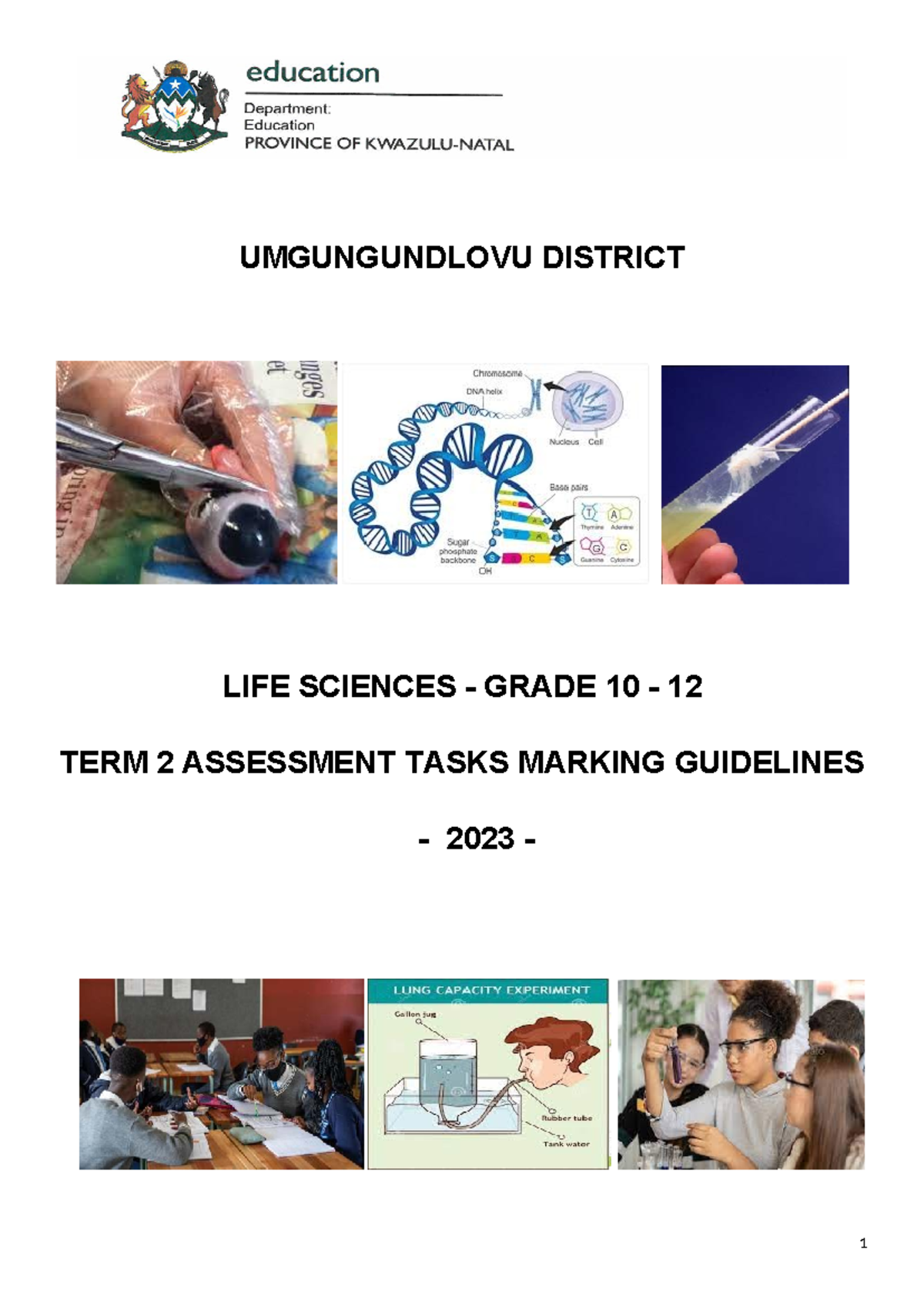 Grade 10-12 Life Sciences Marking Guidelines - Final Exam 2023 - Studocu