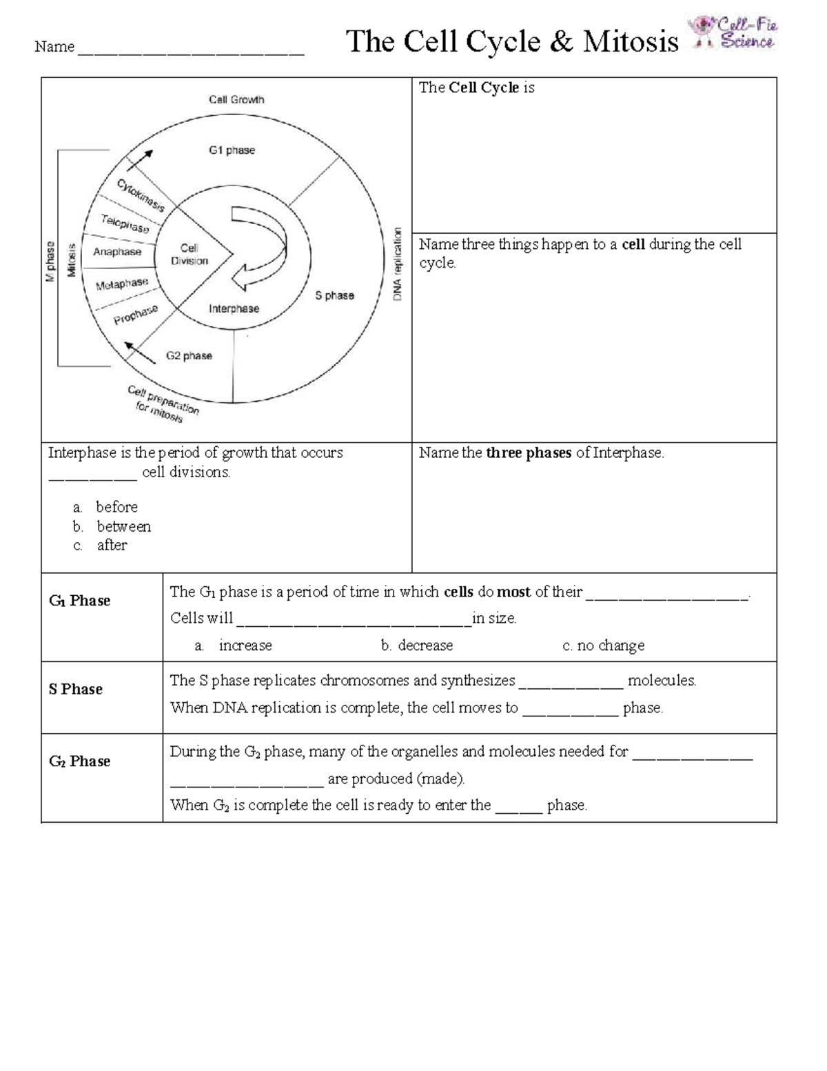 Cell Cycle & Mitosis Intro Worksheet (WS) - Studocu