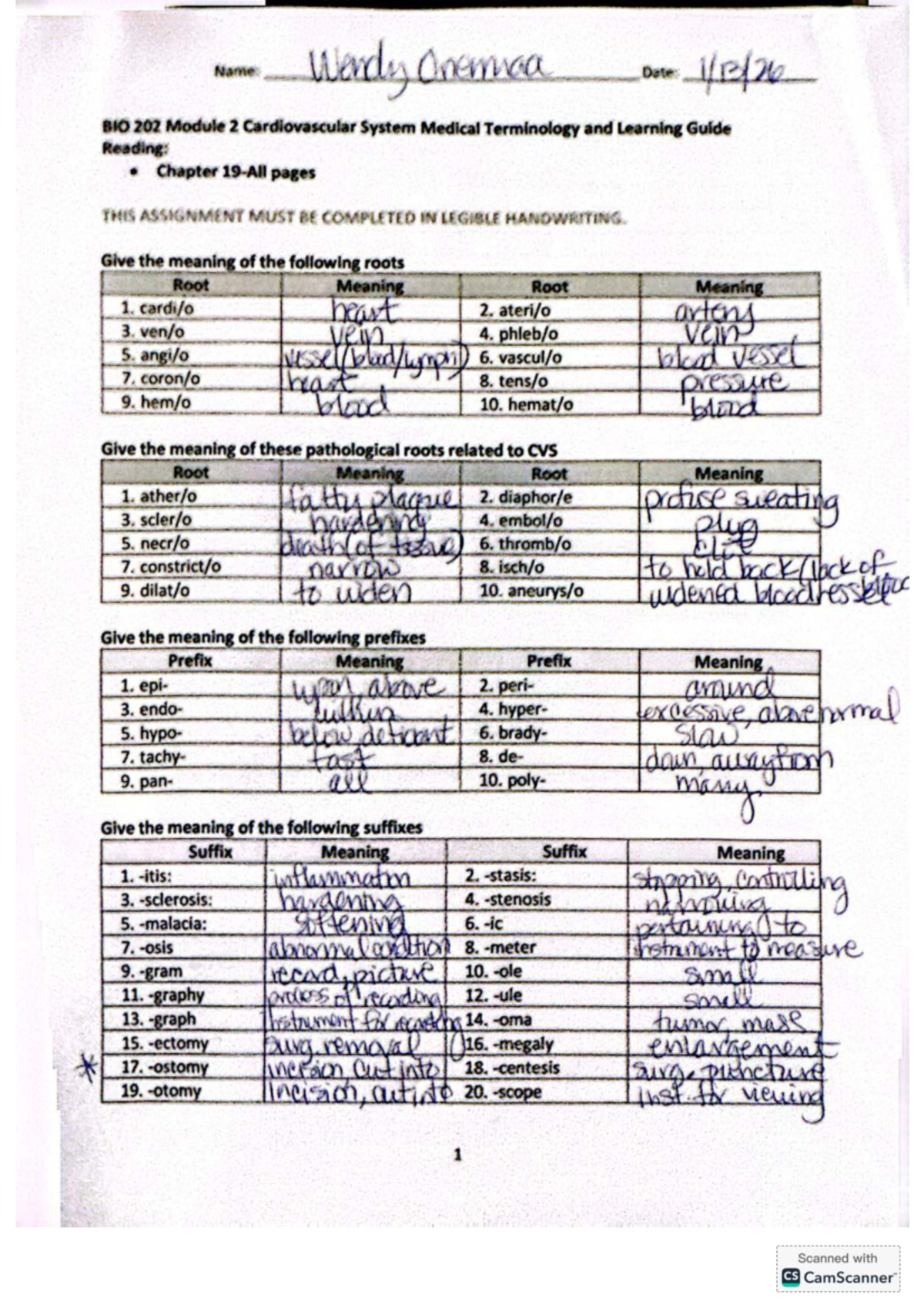 BIO 202 Module 2 Cardiovascular System Medical Terminology Guide - Studocu