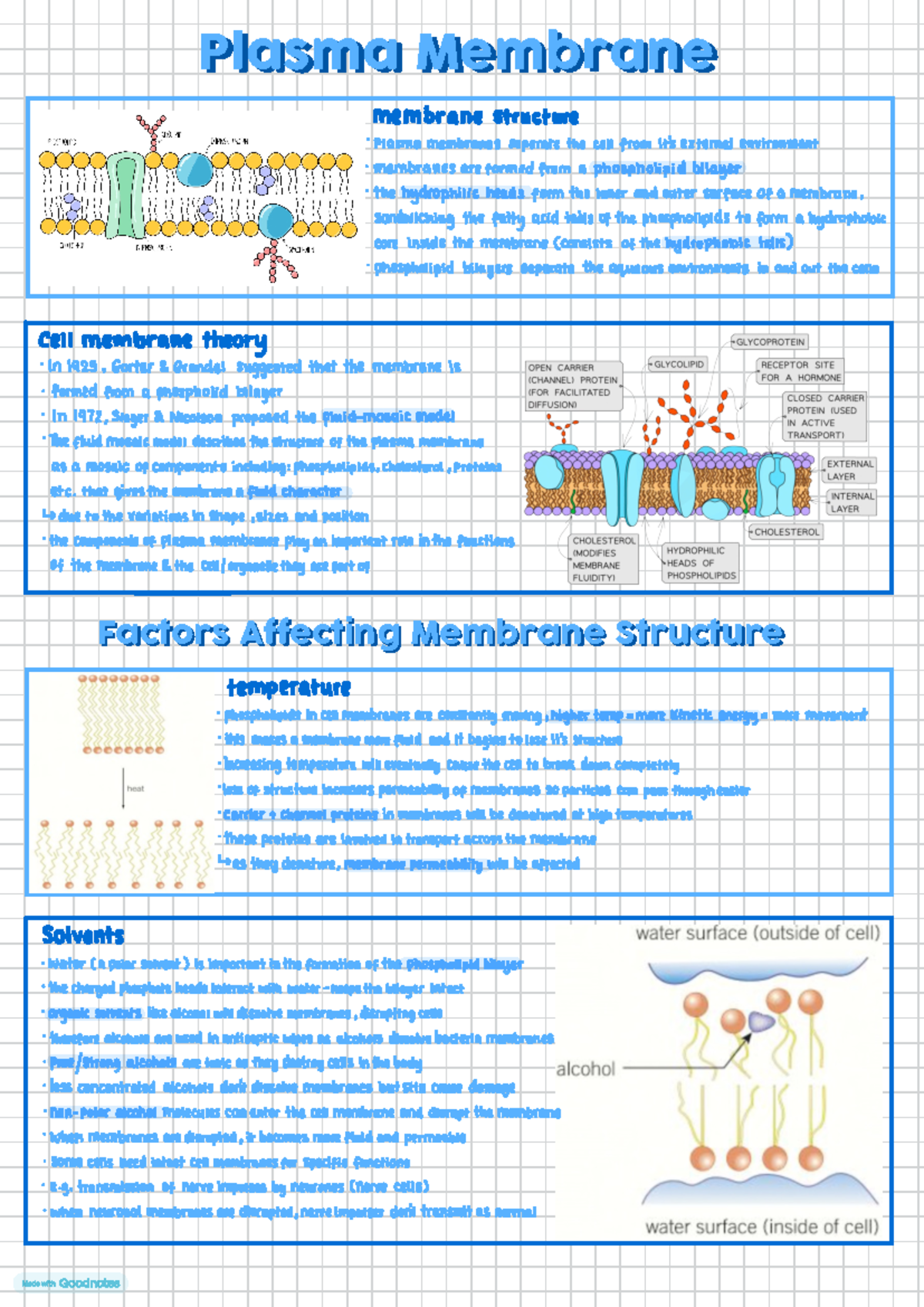 BIO101 - Plasma Membrane Structure & Function Summary - Studocu
