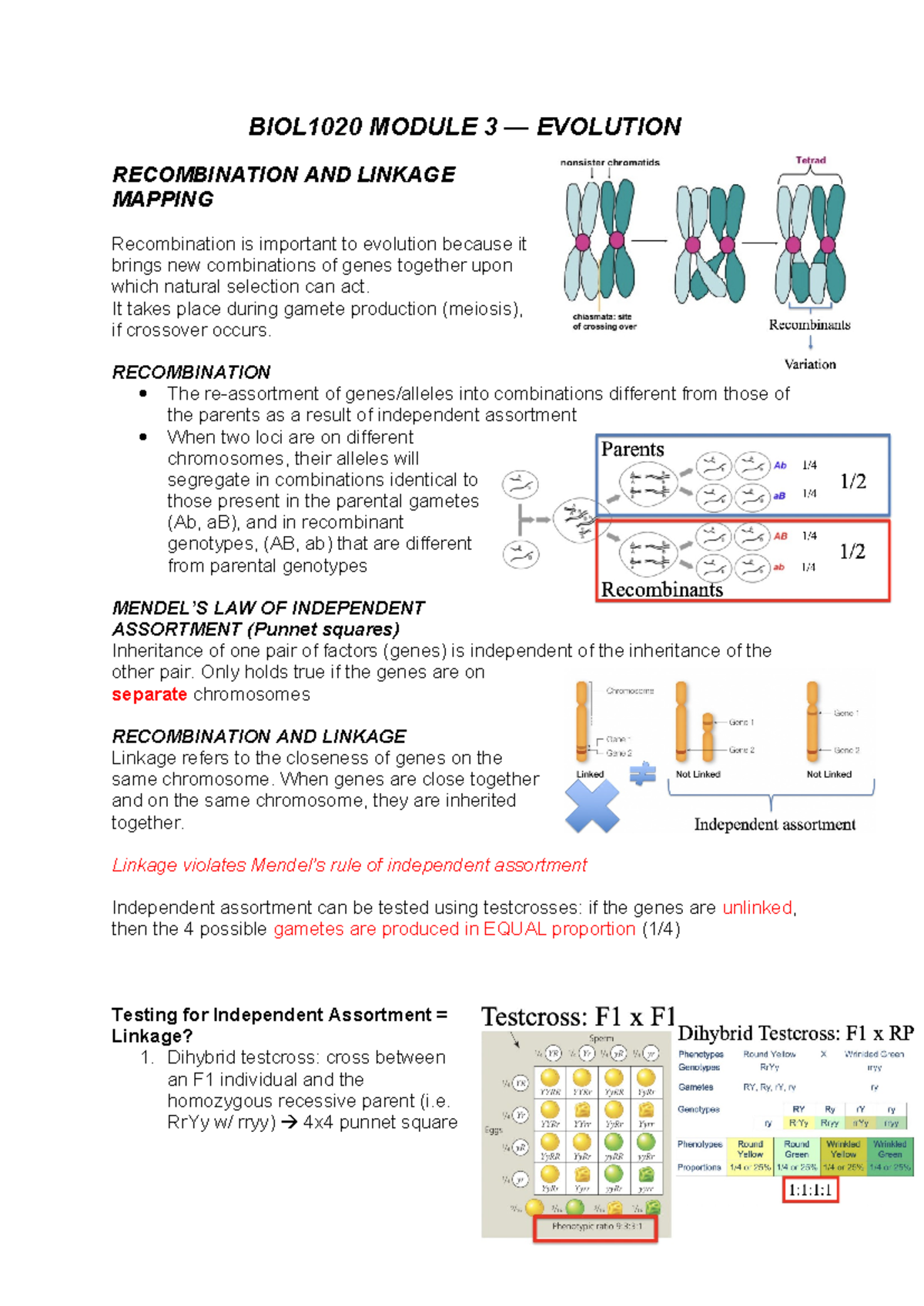 BIOL1020 Module 3 - BIOL1020 MODULE 3 — EVOLUTION RECOMBINATION AND ...