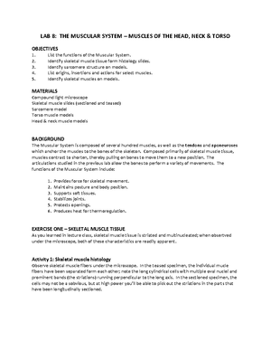 Body System Interaction Scenarios - Name: Date: Body System Scenarios ...