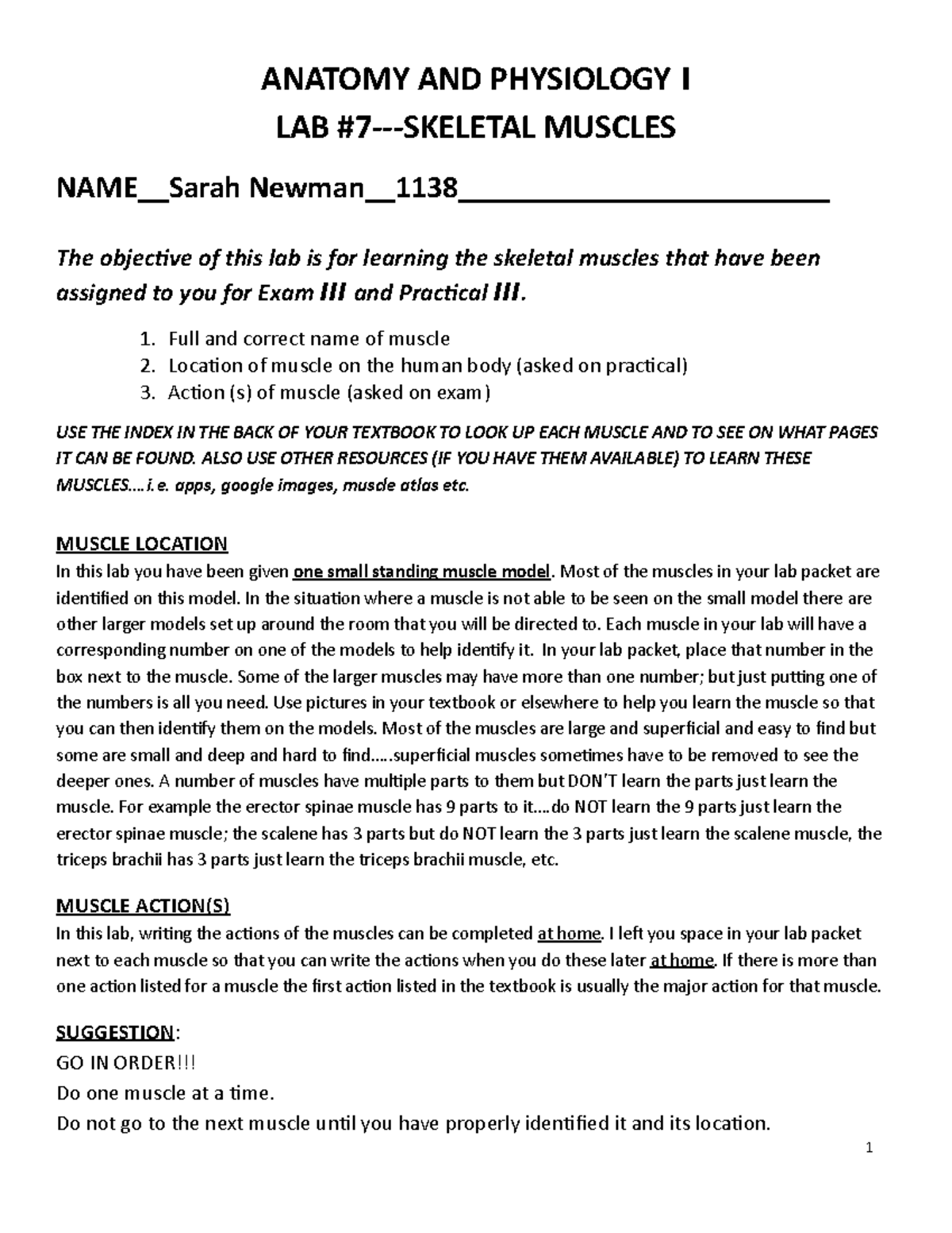 Lab Muscles - Muscle lab - ANATOMY AND PHYSIOLOGY I LAB #7-SKELETAL ...