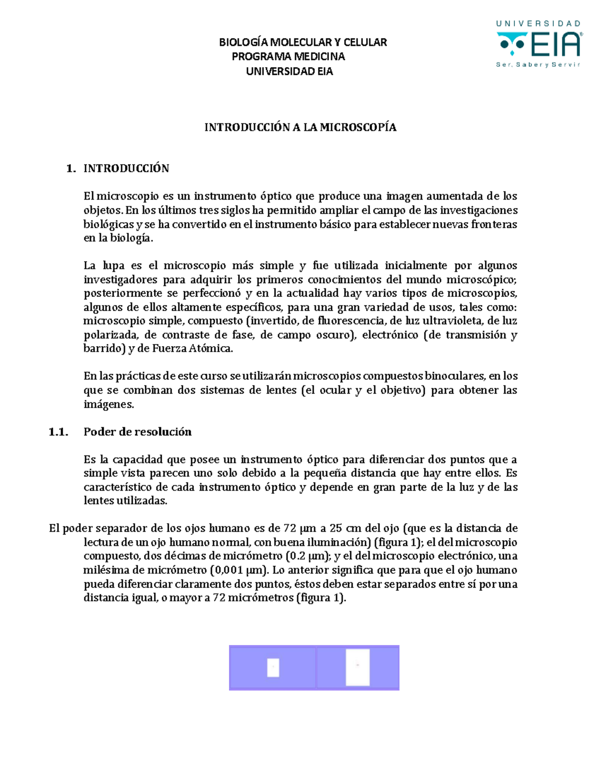 Práctica 1. Microscopia 2 - PROGRAMA MEDICINA UNIVERSIDAD EIA ...