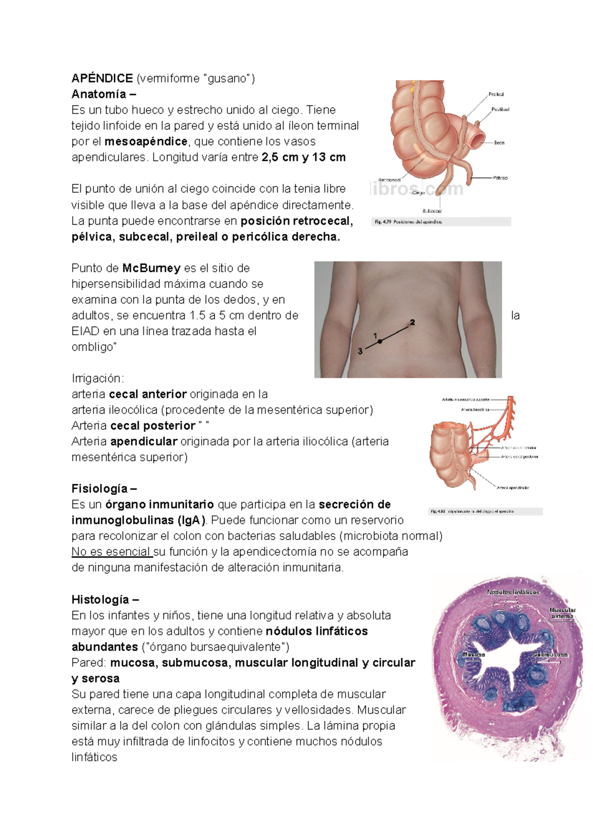 Estudio sobre Apendicitis: Anatomía, Fisiología y Síntomas - Studocu