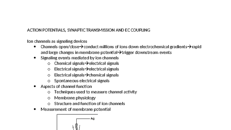 Lecture 2: Action Potentials, Synaptic Transmission & EC Coupling - Studocu