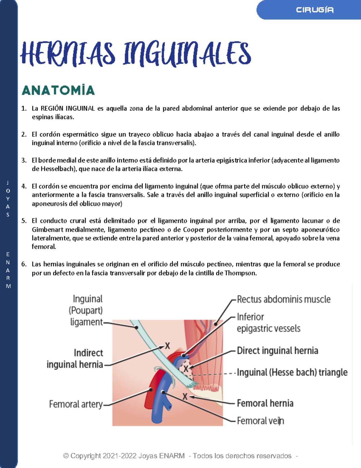 Hernias Inguinales: Anatomía, Diagnóstico y Tratamiento (Med. 101 ...