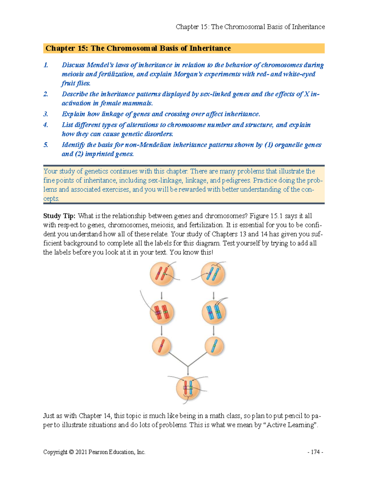 Bio12 ARG 15 - Chapter 15: Chromosomal Basis of Inheritance Study Guide ...