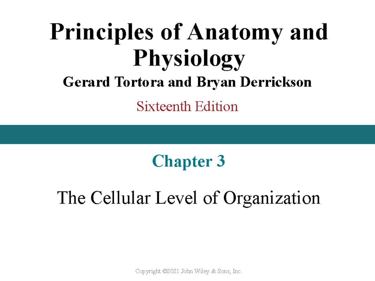 Anatomy & Physiology 16th Ed: Chapter 3 - Cellular Organization - Studocu