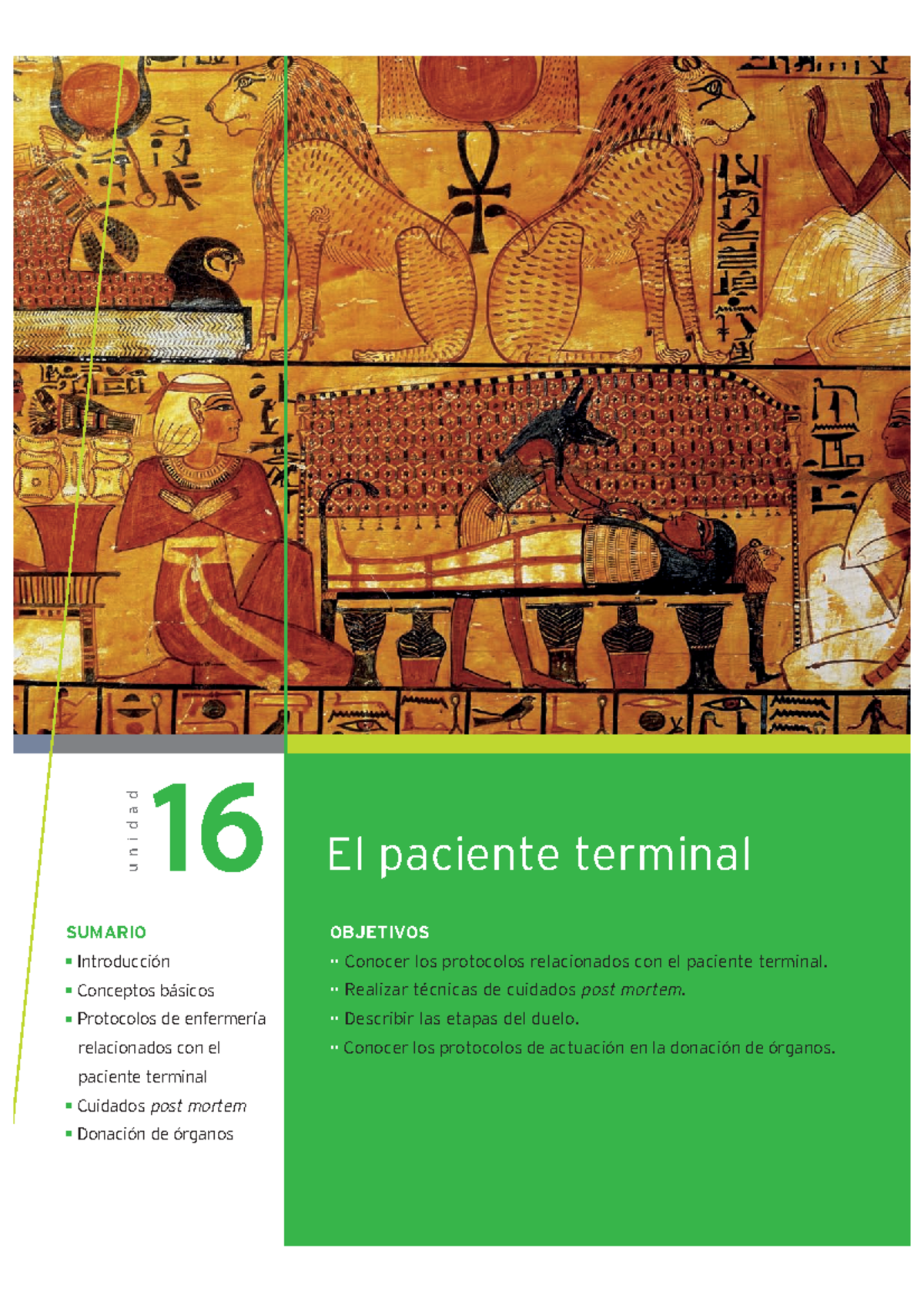 Unidad 16: Cuidados Paliativos y Protocolo en Pacientes Terminales ...
