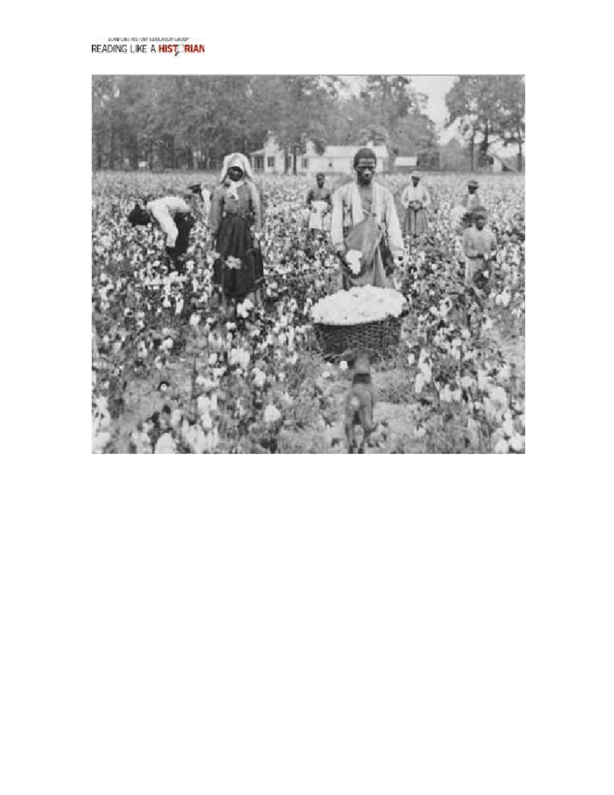 Sharecropping Student Materials - Sharecropping A Sharecropping ...