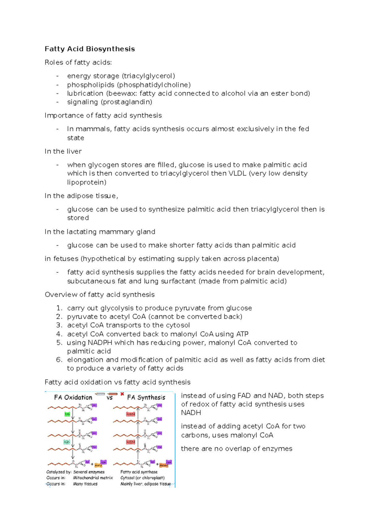 Fatty Acid Biosynthesis: Roles, Pathways, and Regulation in Metabolism ...