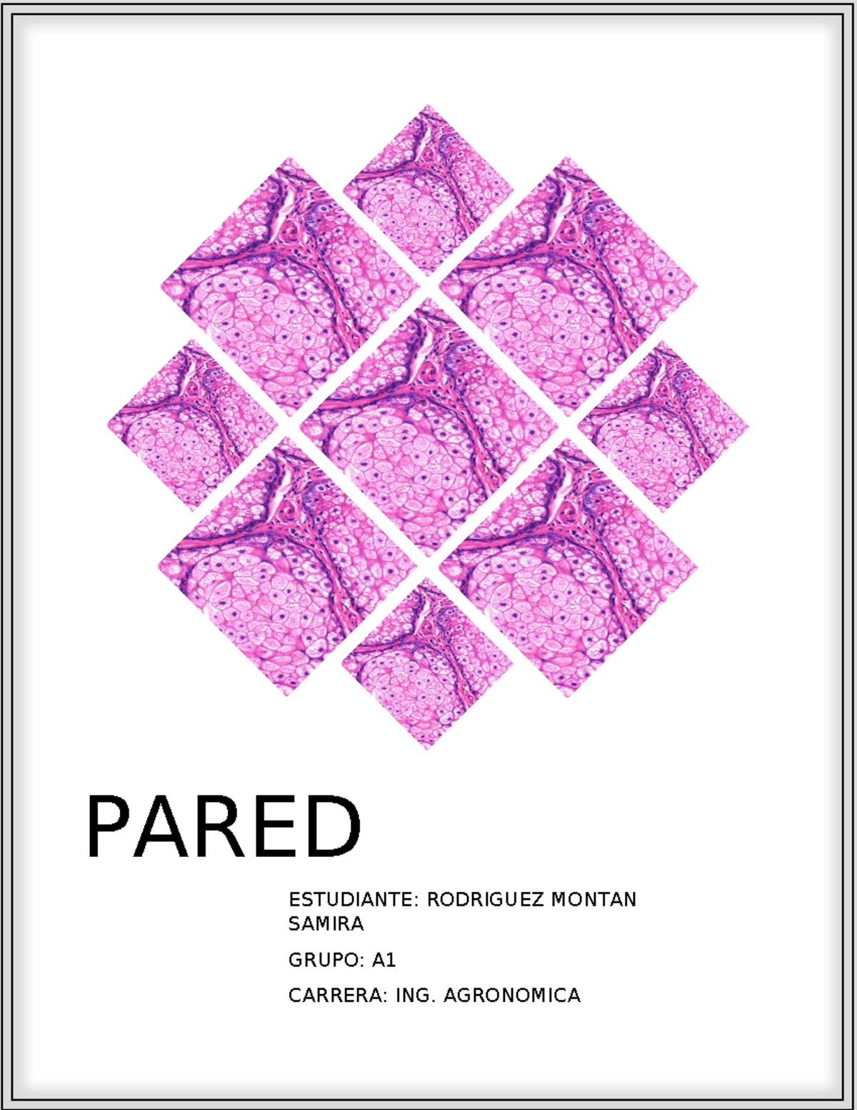 Pared Celular LAB Morfo - Biologia - PARED CELULAR ESTUDIANTE: RODRIGUEZ MONTAN SAMIRA GRUPO: A ...