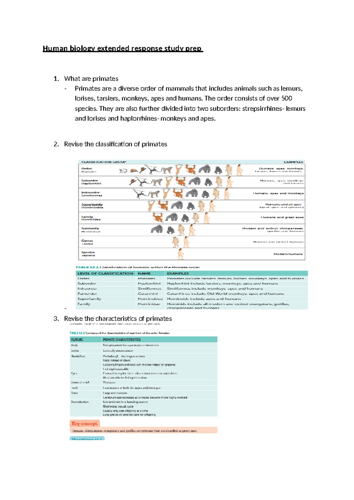 Human Biology Extended Response Study Prep: Primates and Evolution ...