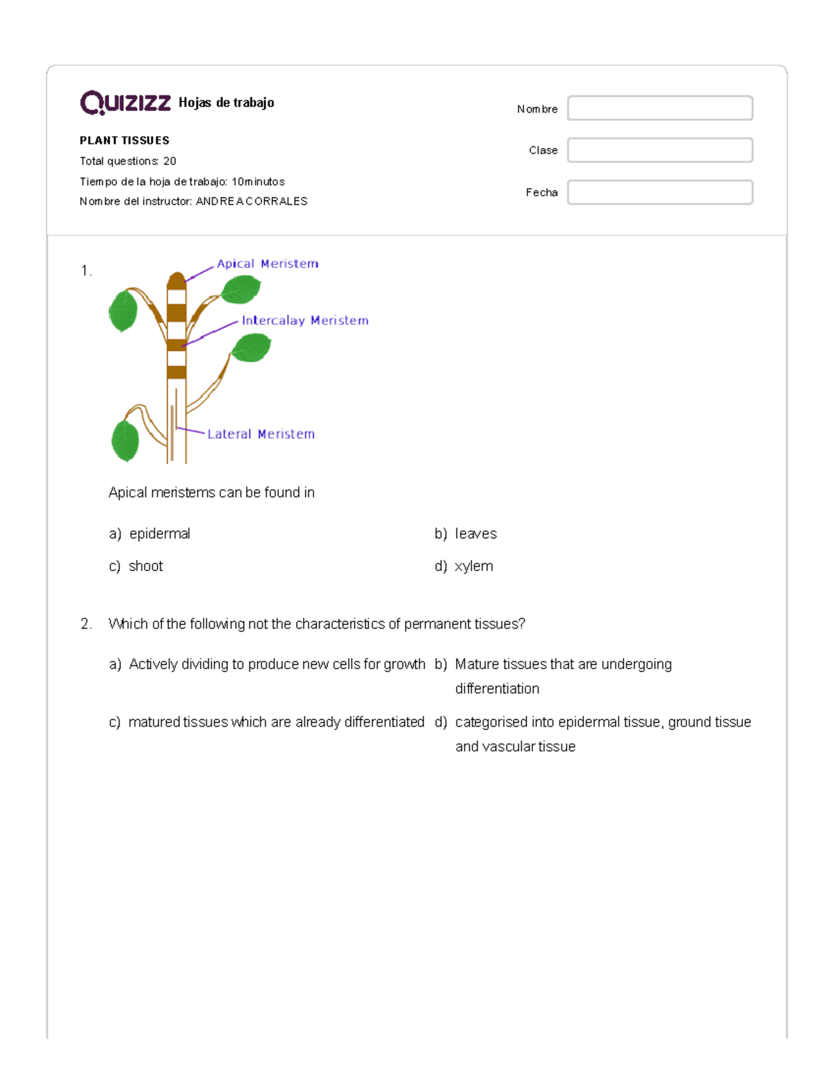Quizizz - Plant Tissues - Hojas de trabajo PLANT TISSUES Total ...