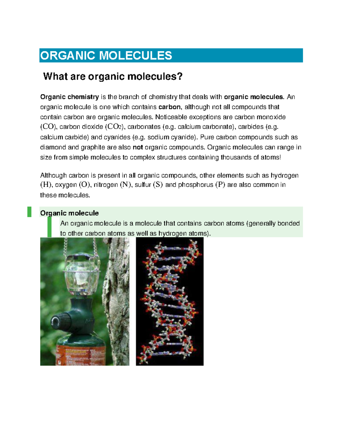 Organic molecule 1 - Summary notes - ORGANIC MOLECULES What are organic ...