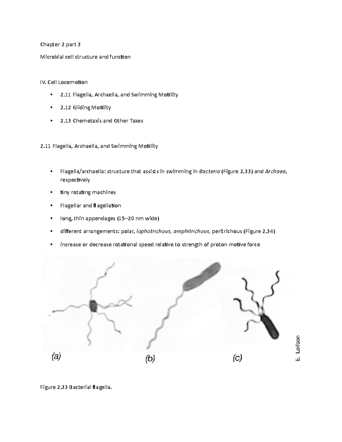 Microbial Cell Locomotion: Flagella Archaella Gliding Motility ...