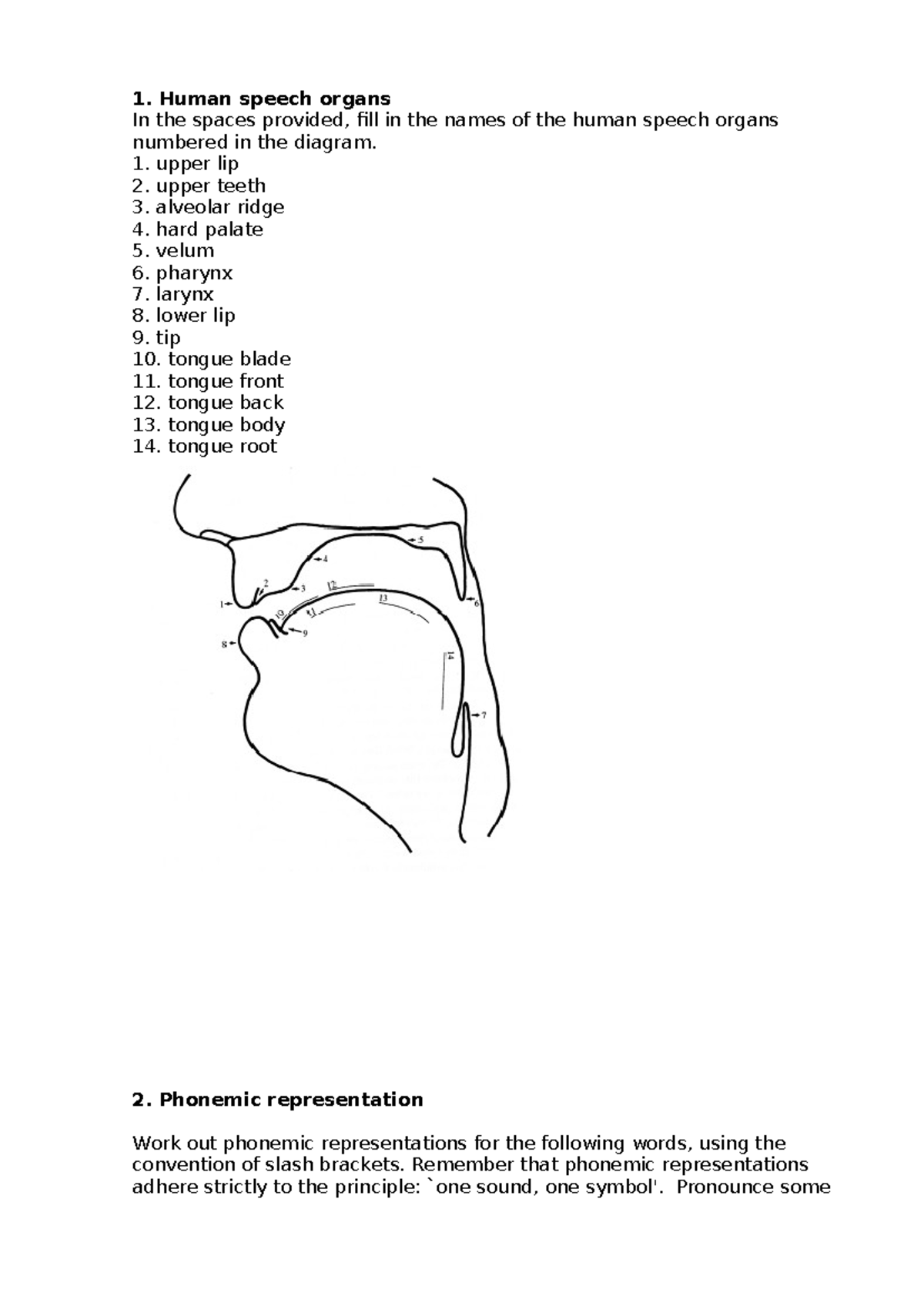 1. Human Speech Organs and Phonemic Representation - Dẫn Nhập - Studocu
