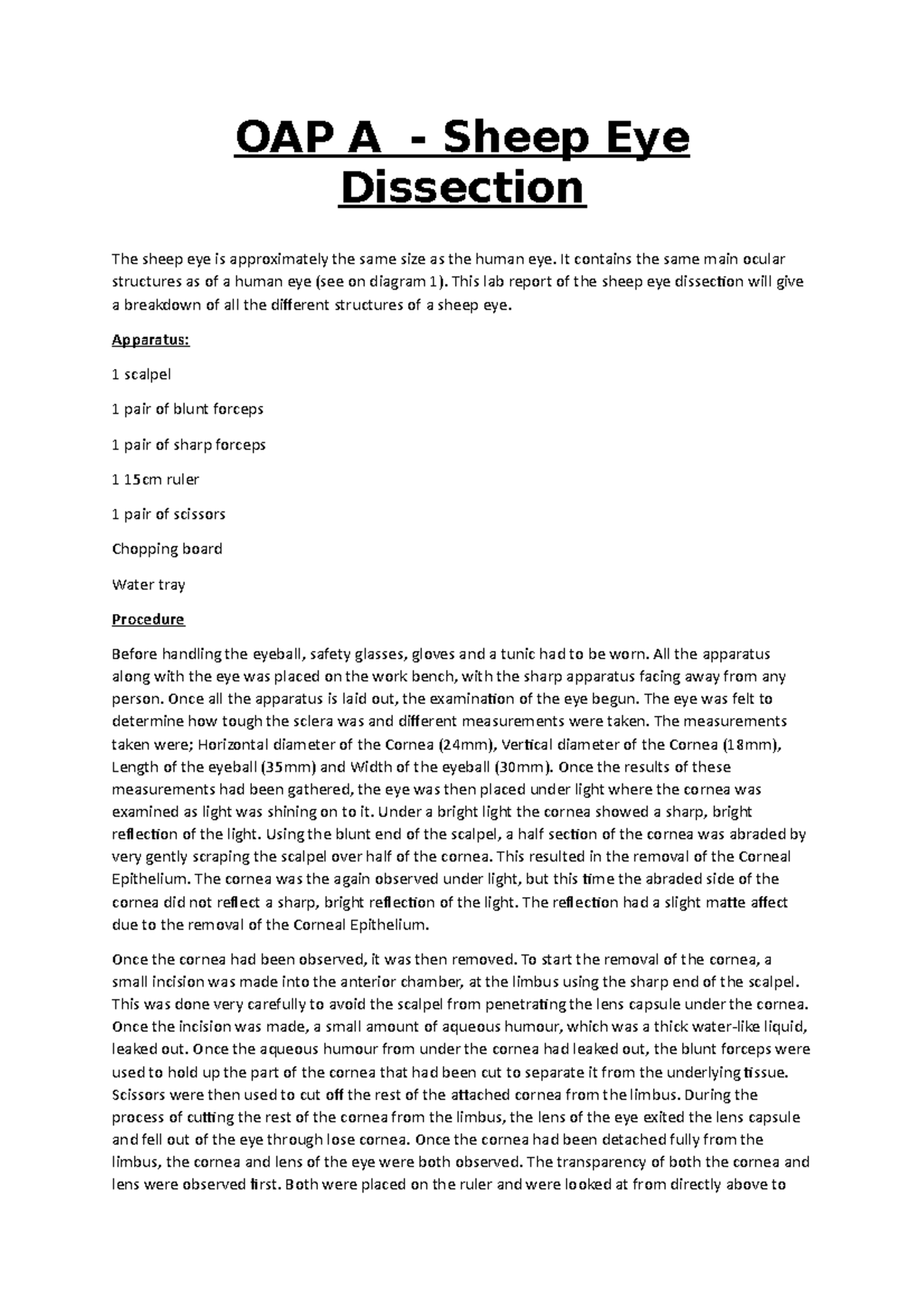 OPHTHALMIC ANATOMY AND PHYSIOLOGY - Sheep Eye Dissection Report - OAP A ...