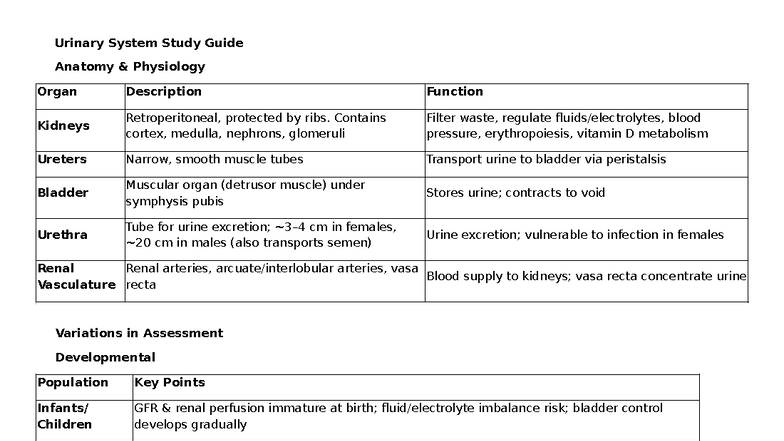 Urinary System Study Guide: Anatomy & Physiology Overview - Studocu