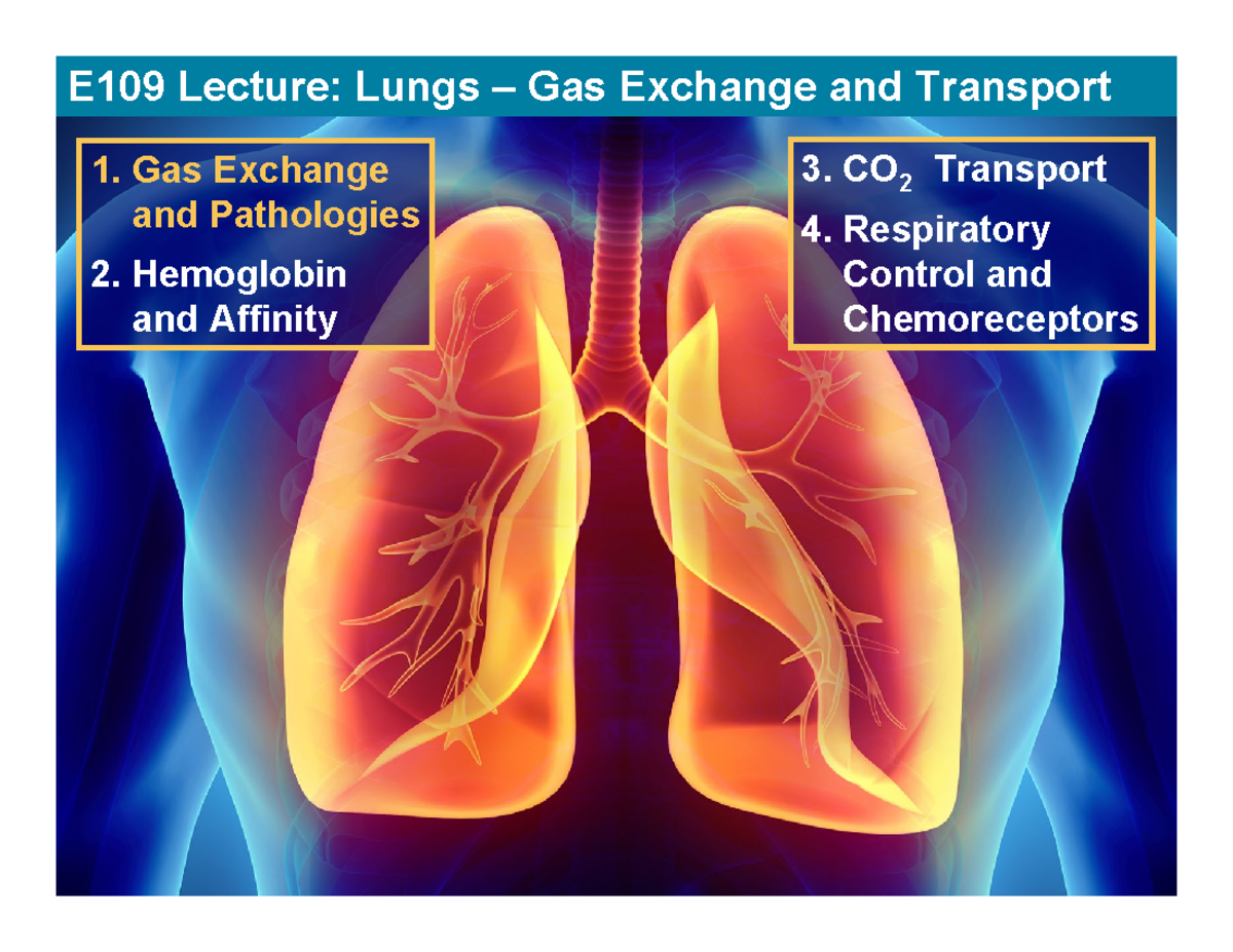 E109 Lecture: Lungs - Gas Exchange, Hemoglobin, and Transport Mechanisms - Gas Exchange and ...