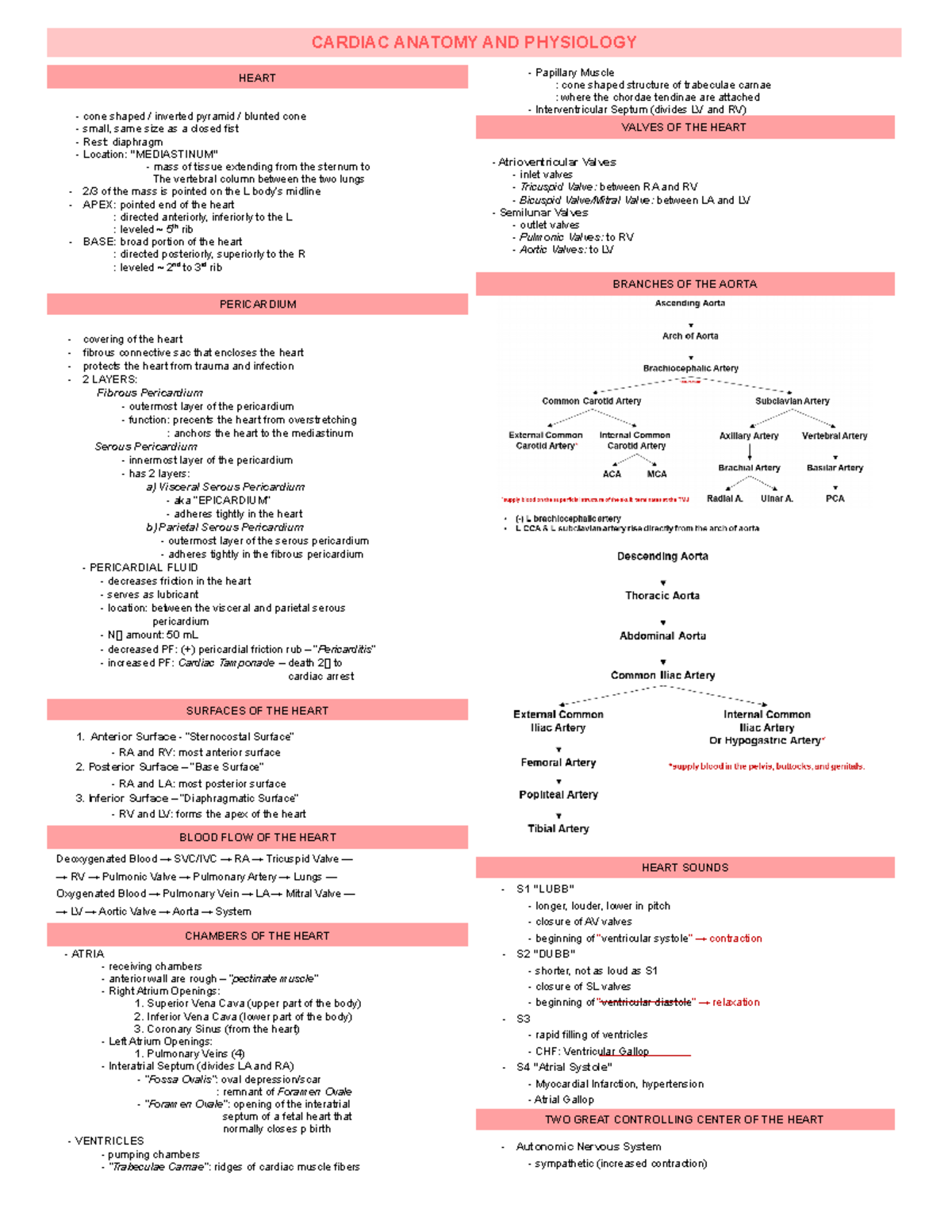 Cardiac Anatomy and Physiology - CARDIAC ANATOMY AND PHYSIOLOGY HEART ...