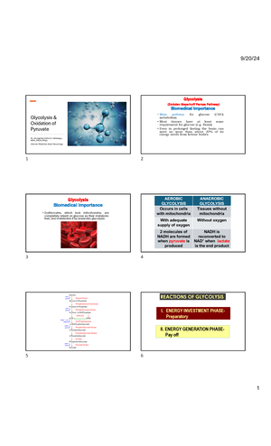 BHW Training Facilitator Guide - Mensahe mula kay: Usec. Maria Rosario ...