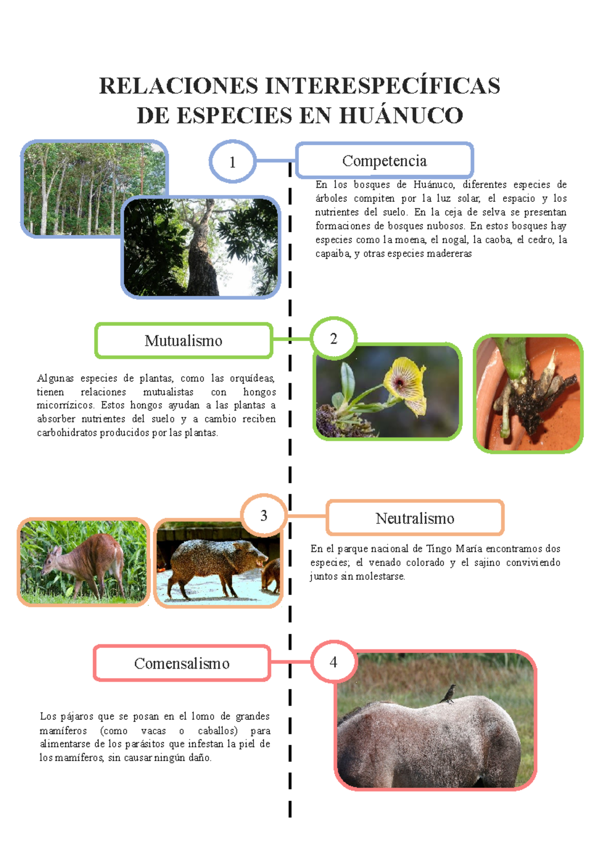 Relaciones Interespecíficas - RELACIONES INTERESPECÍFICAS DE ESPECIES ...