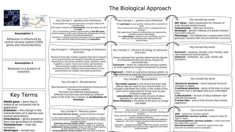 Biological Approach Key Concepts Overview (PSY101) - Studocu
