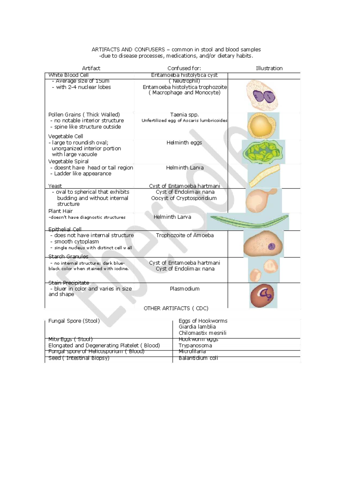 Parasitology-atlas-artifacts-and-confusers-common-in-stool-and-blood ...
