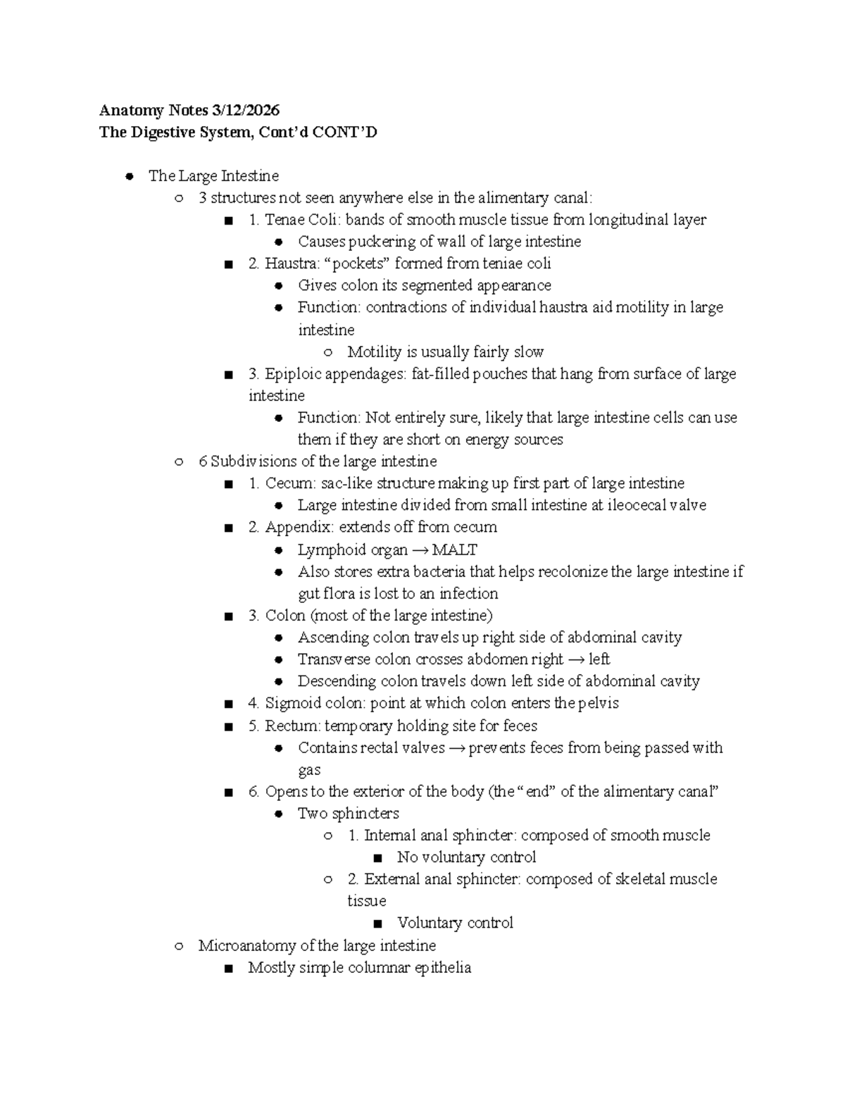 Anatomy Notes: The Large Intestine (ANAT 3) - Digestive System Insights ...