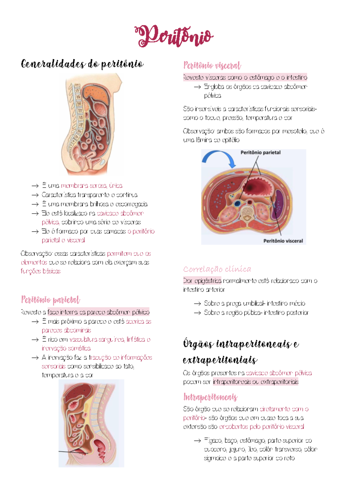 Peritonio e cavidade peritoneal - Peritônio Generalidades do peritônio ...