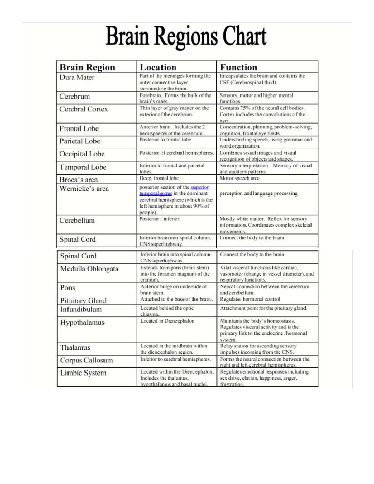 Brain Regions and Functions Chart: Anatomy Overview - Studocu