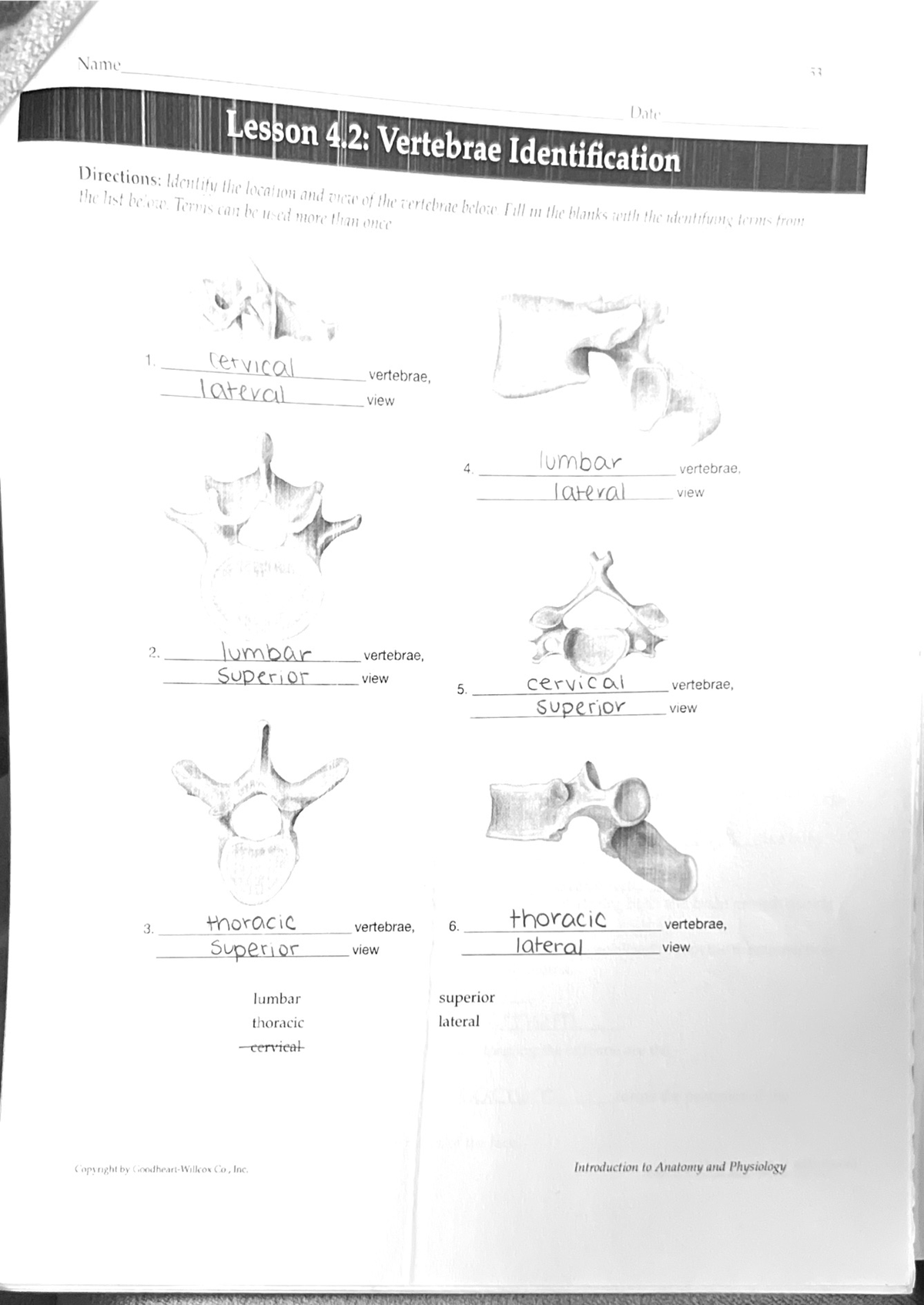 Lesson 4.2: Identification of Vertebrae and Skull Bones - Studocu