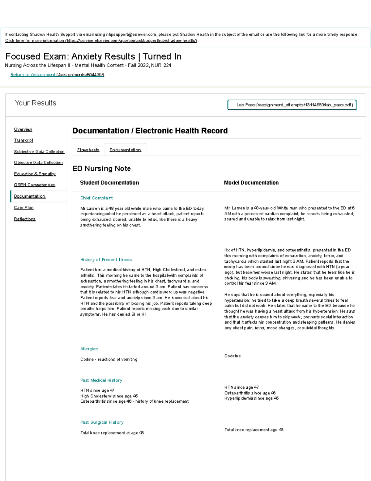 NUR 224: ED Focused Exam Documentation on Patient Anxiety - Studocu