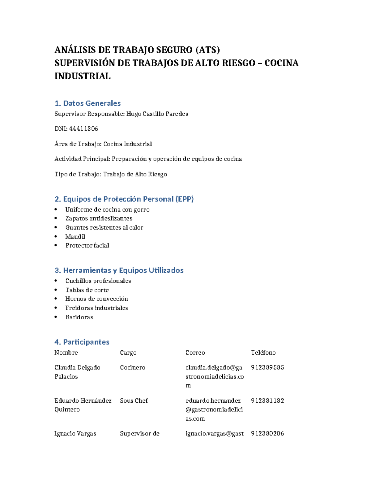 ATS de Supervisión de Trabajos de Alto Riesgo en Cocina Industrial ...