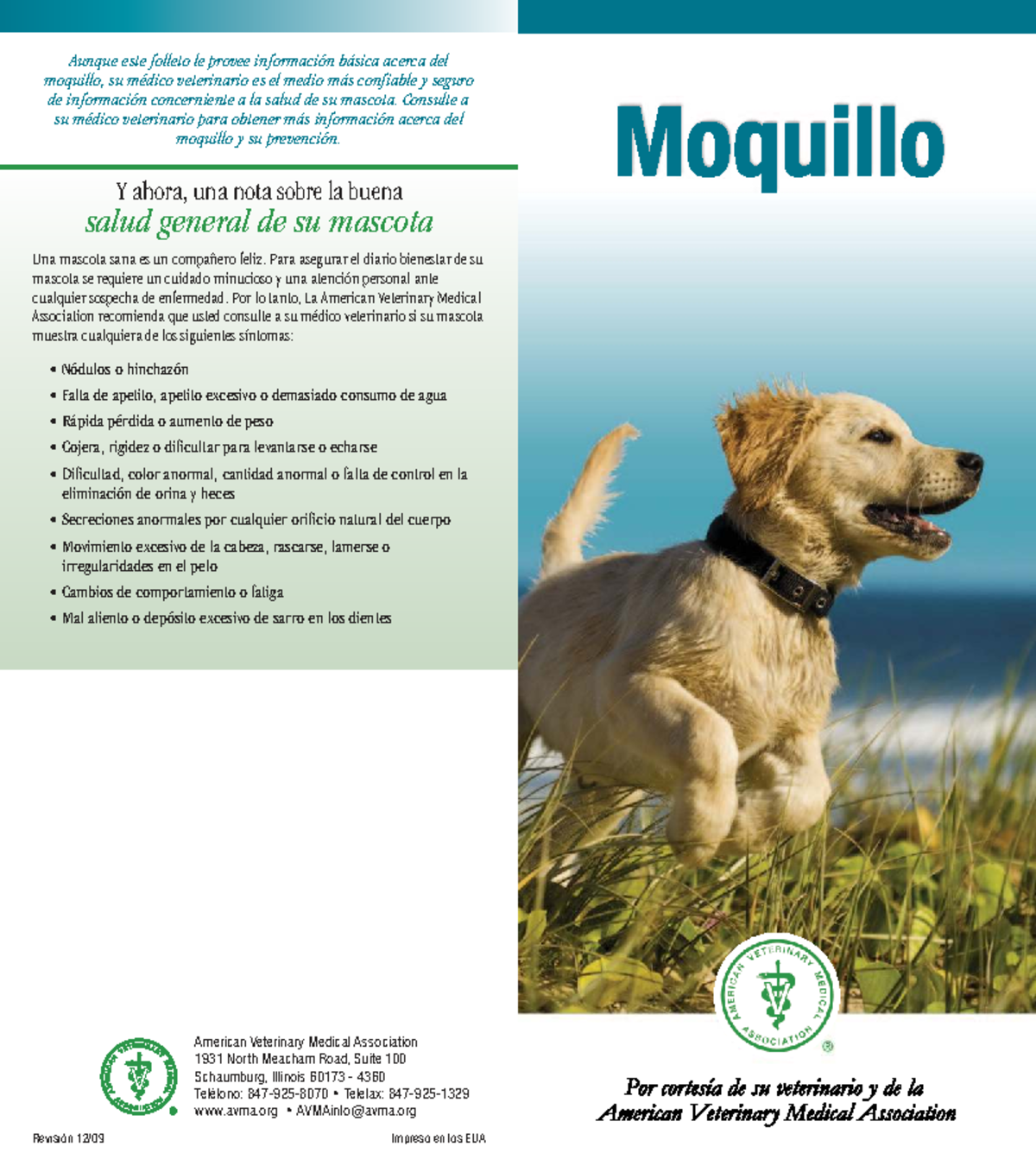 Folleto sobre el moquillo: información y cuidados para su mascota - Studocu