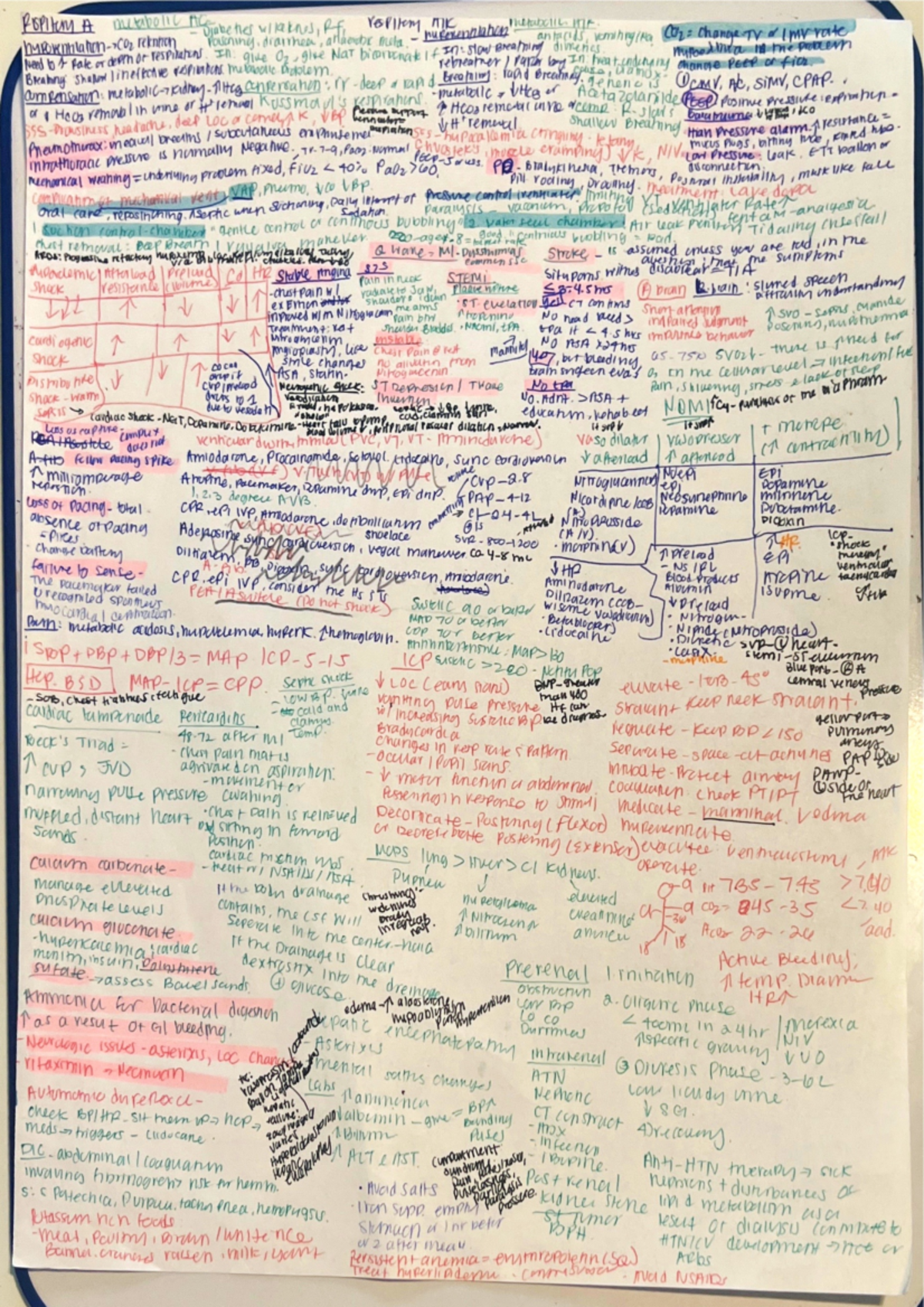 Final Exam Study Notes - Essential Points Review - Studocu