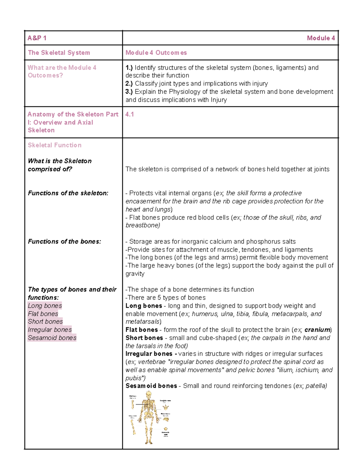 A&P 1 Module 4: Comprehensive Overview of the Skeletal System - Studocu