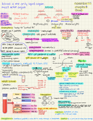 Anat 1 Midterm study guide - HUMAN ANATOMY AND PHYSIOLOGY. STUDY GUIDE ...