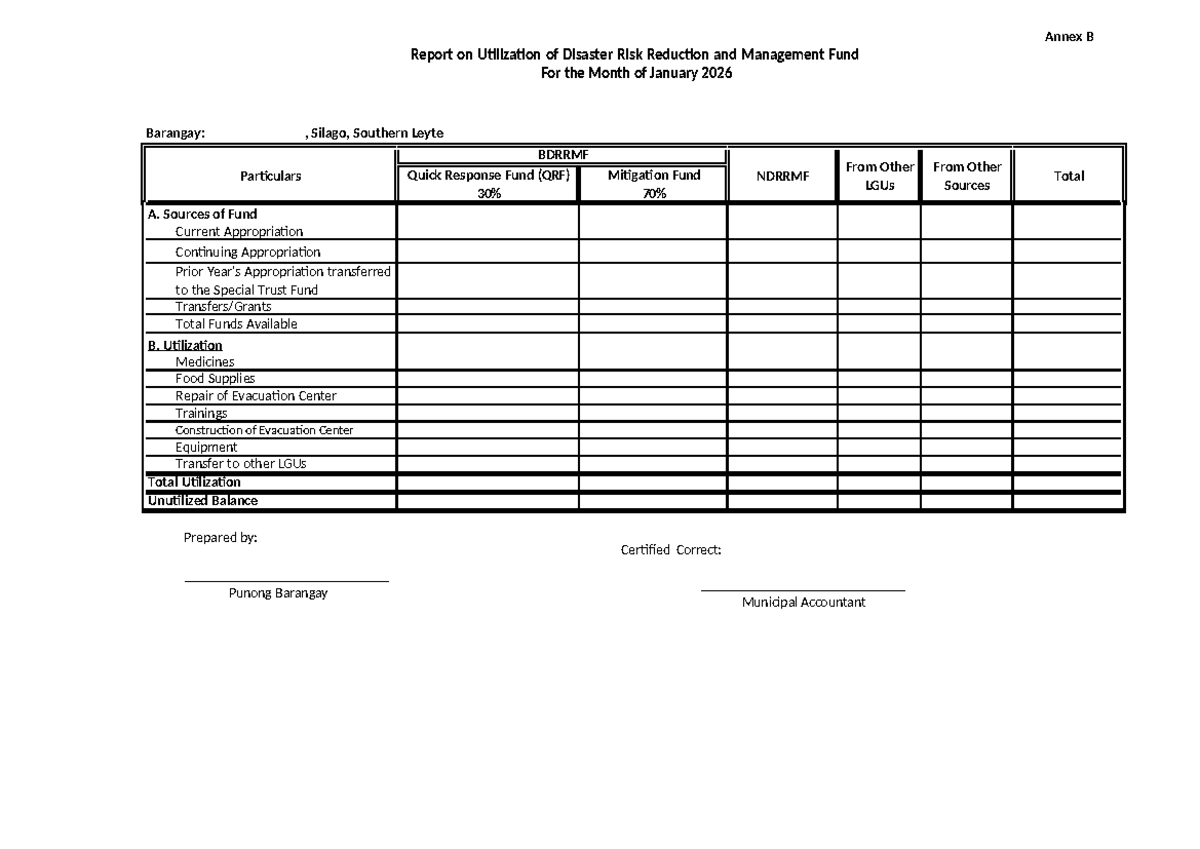 Bdrrm Monthly Utilization Template - Annex B Report on Utilization of ...