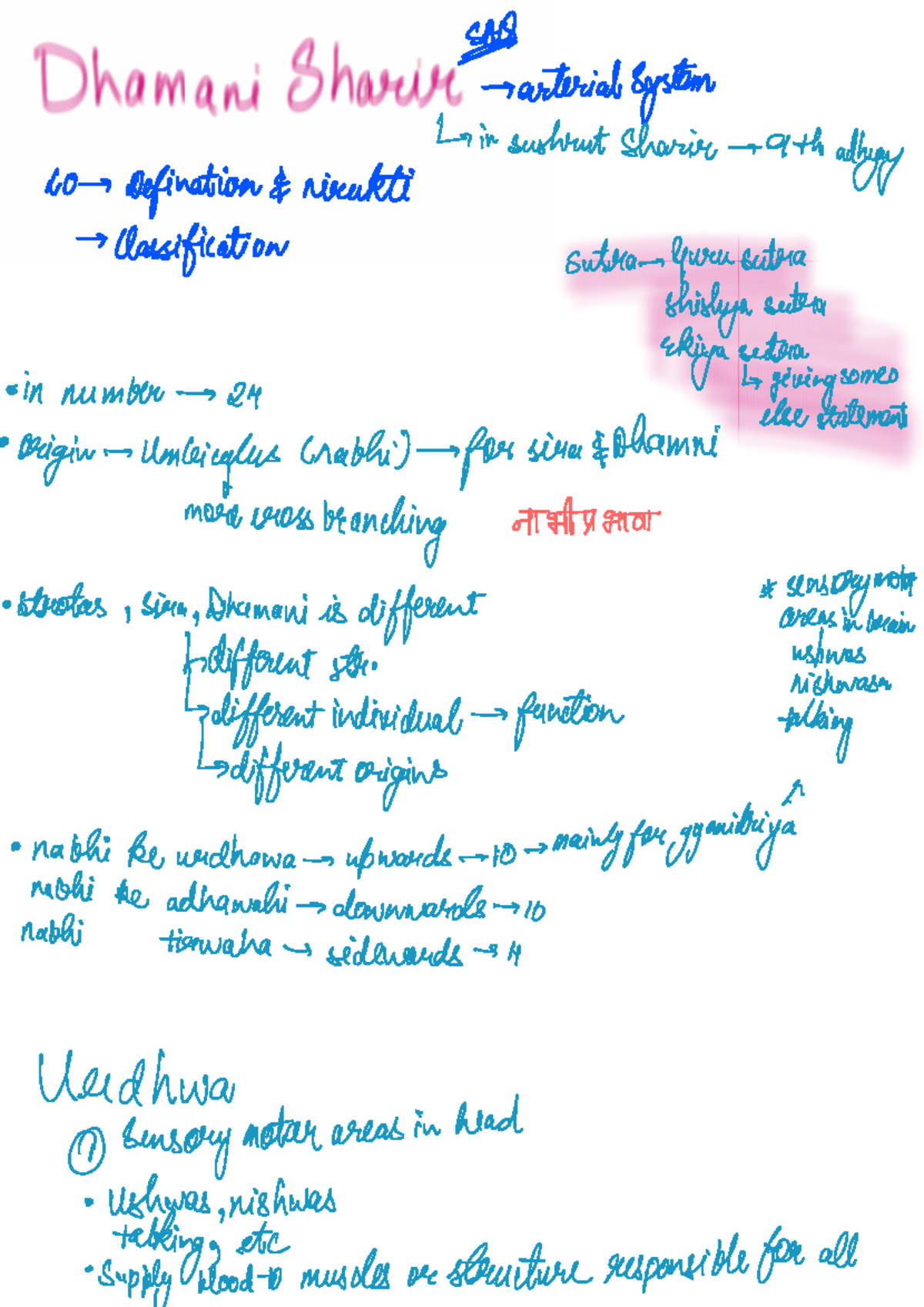 Dhamni Sharir Notes for 1st Year BAMS Students - Arterial System ...