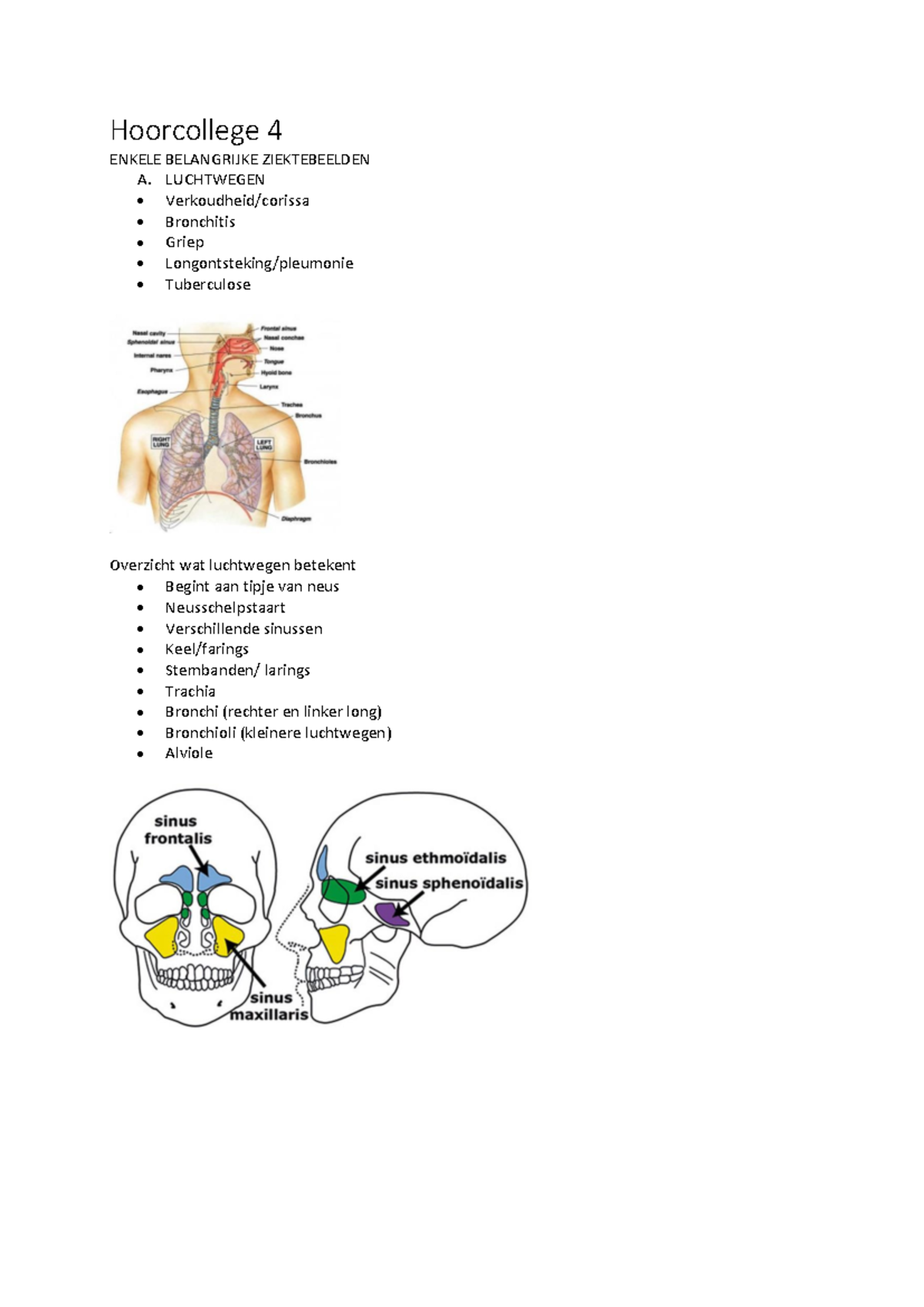 Algemene Pathologie Samenvatting DEEL 2 - Hoorcollege 4 ENKELE ...