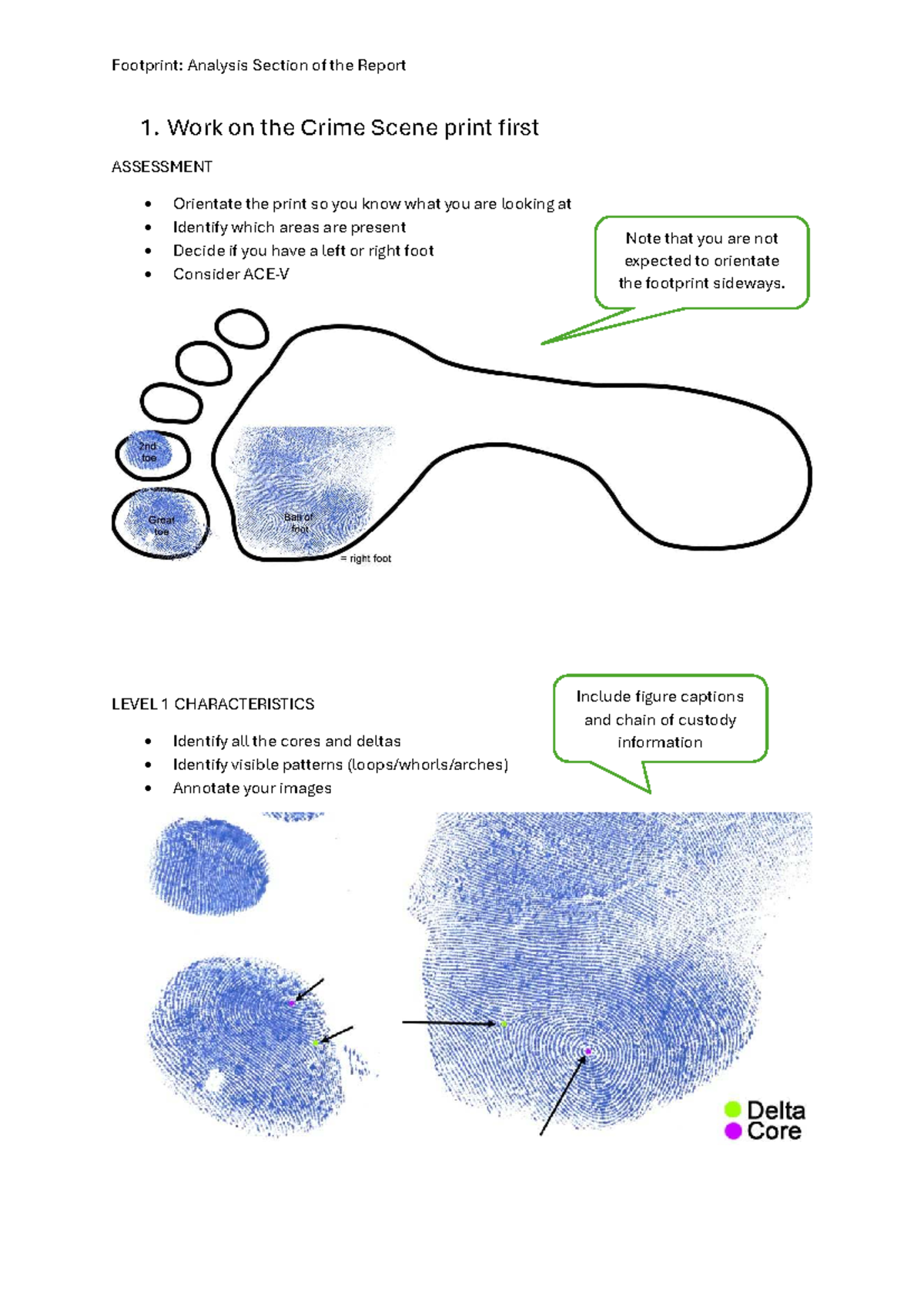 Footprint Analysis Instructions: Crime Scene Assessment Guide - Studocu