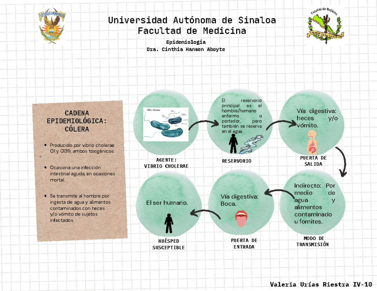 Cadena Epidemiológica del Cólera: Estudio Detallado de V. cholerae ...