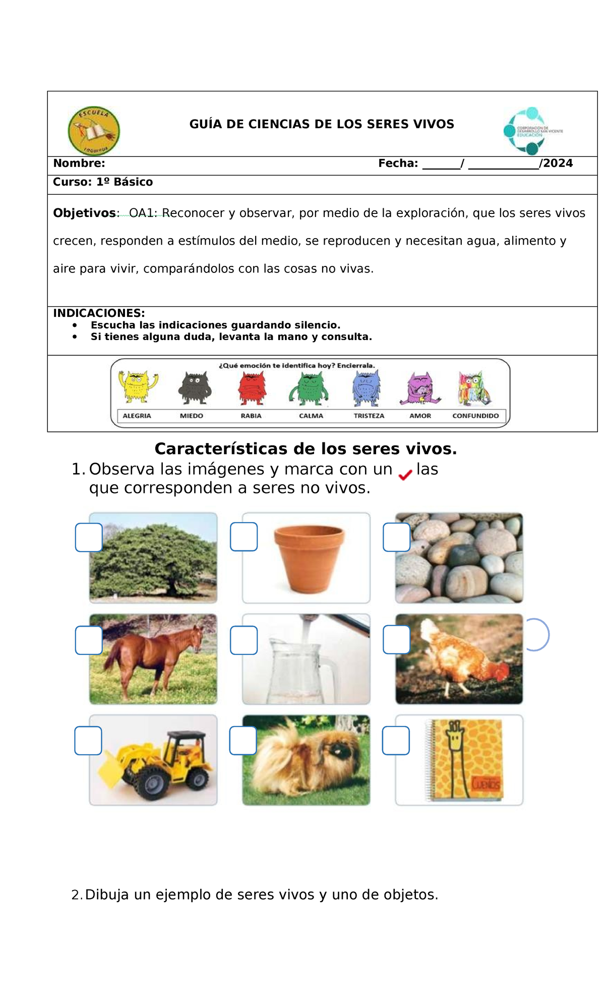 Guía de Ciencias 1º Básico: Los Seres Vivos y su Entorno - Studocu