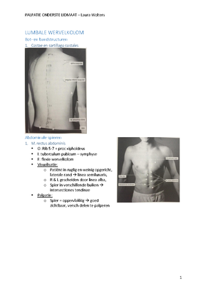 Kniegewricht - articulatio genu = kniegewricht te kennen van femur ...