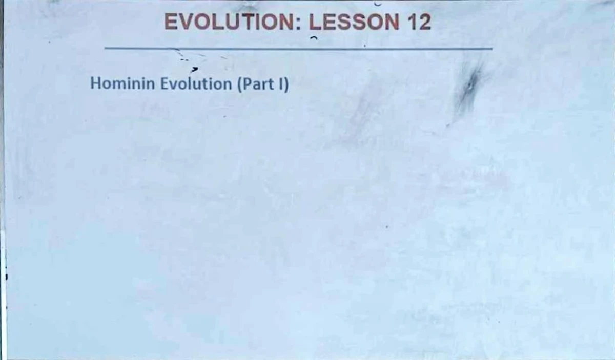 EVOLUTION: LESSON 10 - Understanding DNA Barcoding Techniques - Studocu