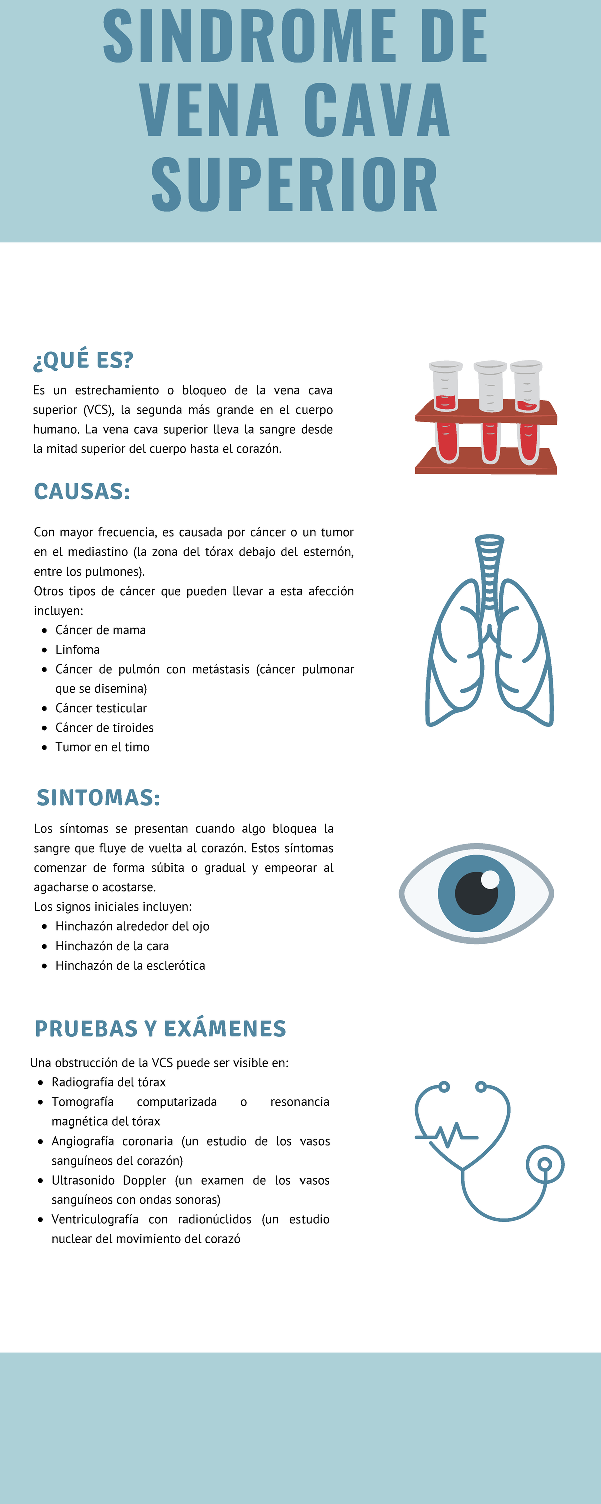 Sindrome Vena Cava Superior: Causas, Síntomas y Diagnóstico - Studocu